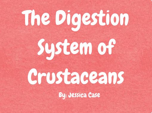 "The Digestion System of Crustaceans" - Free stories online. Create ...