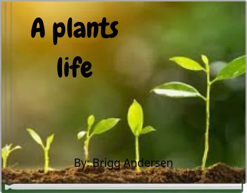 "A plants life" - Free stories online. Create books for kids | StoryJumper