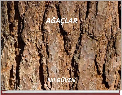 "AĞAÇLAR" - Free stories online. Create books for kids | StoryJumper