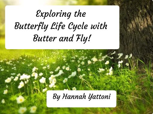 "Exploring the Butterfly Life Cycle with Butter and Fly!" - Free ...