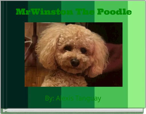 "MrWinston The Poodle" - Free stories online. Create books for kids ...