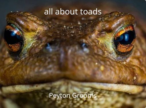 "all about toads" - Free stories online. Create books for kids ...