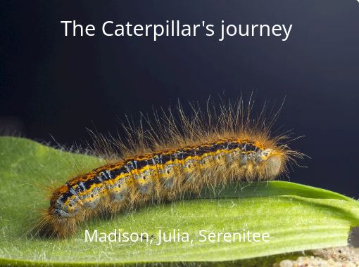 "The Caterpillar's journey" - Free stories online. Create books for ...