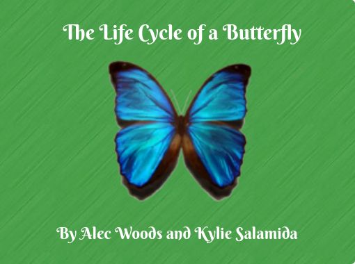 "The Life Cycle of a Butterfly" - Free stories online. Create books for ...