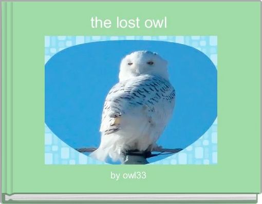"the lost owl" - Free stories online. Create books for kids | StoryJumper