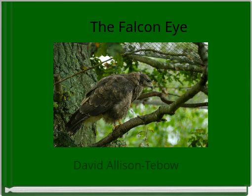 "The Falcon Eye" - Free stories online. Create books for kids | StoryJumper