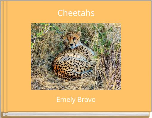 Cheetahs Books | StoryJumper