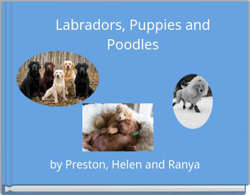 "Labradors, Puppies and Poodles" - Free stories online. Create books ...
