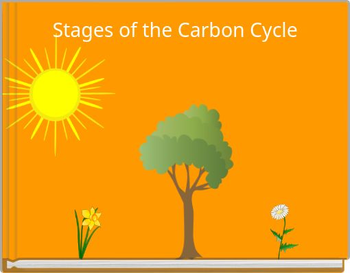 "Stages of the Carbon Cycle" - Free stories online. Create books for ...