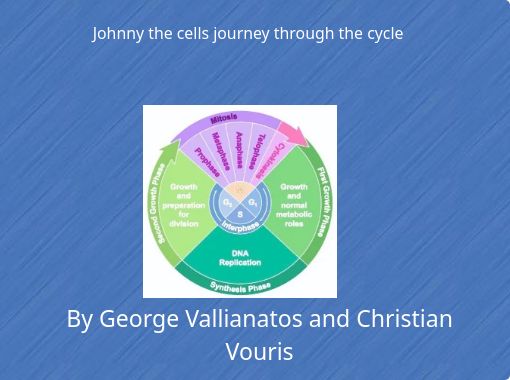 "Johnny the cells journey through the cycle" - Free stories online ...