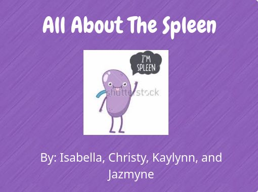 "All About The Spleen" - Free stories online. Create books for kids ...