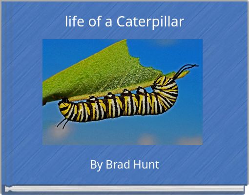 "life of a Caterpillar" - Free stories online. Create books for kids ...