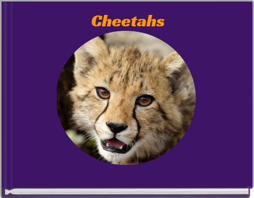 Cheetahs Books | StoryJumper