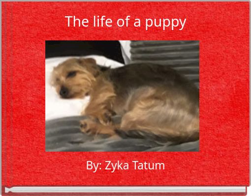 "The life of a puppy" - Free stories online. Create books for kids ...
