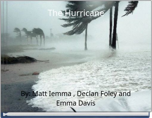 "The Hurricane" - Free stories online. Create books for kids | StoryJumper