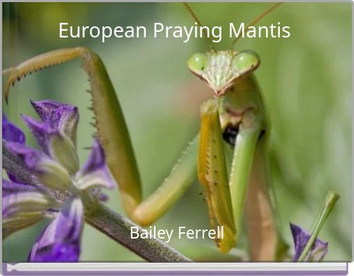 "European Praying Mantis" - Free stories online. Create books for kids ...