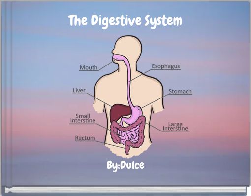 "The Digestive System" - Free stories online. Create books for kids ...