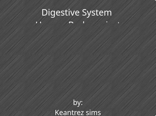 "Digestive System Human Body project" - Free stories online. Create ...