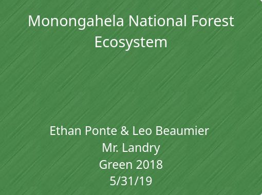 "Monongahela National Forest Ecosystem" - Free stories online. Create ...