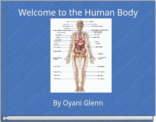"Welcome to the Human Body" - Free stories online. Create books for ...