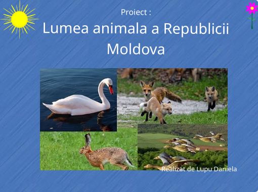 "Proiect : Lumea animala a Republicii Moldova" - Free stories online. Create books for kids ...